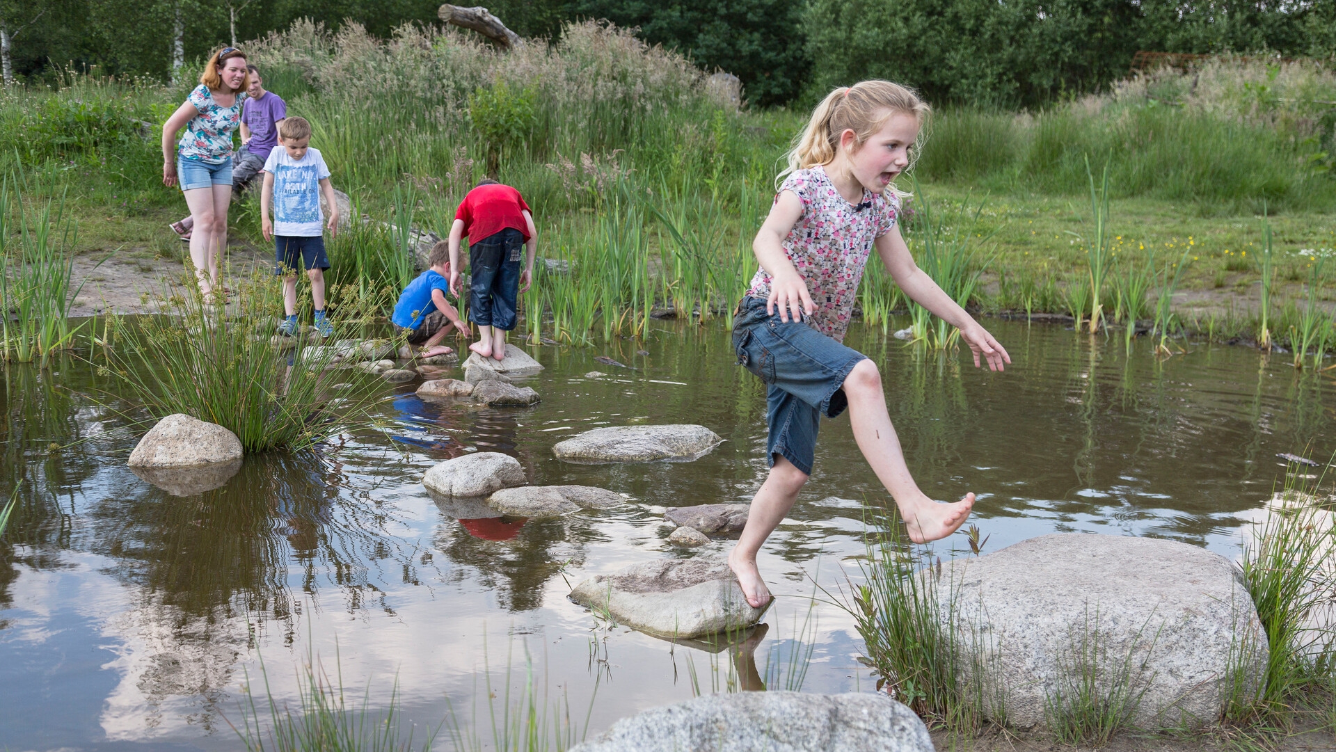 Beleef het Nationaal Park | Nationaal Park Dwingelderveld