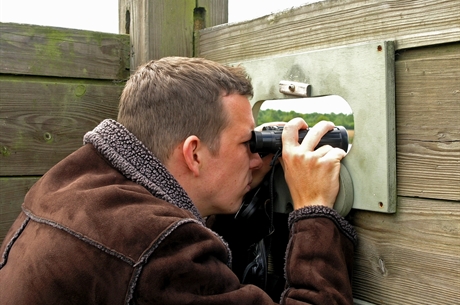 Vogels bekijken vanuit kijkhut Davidsplassen en vanachter ...